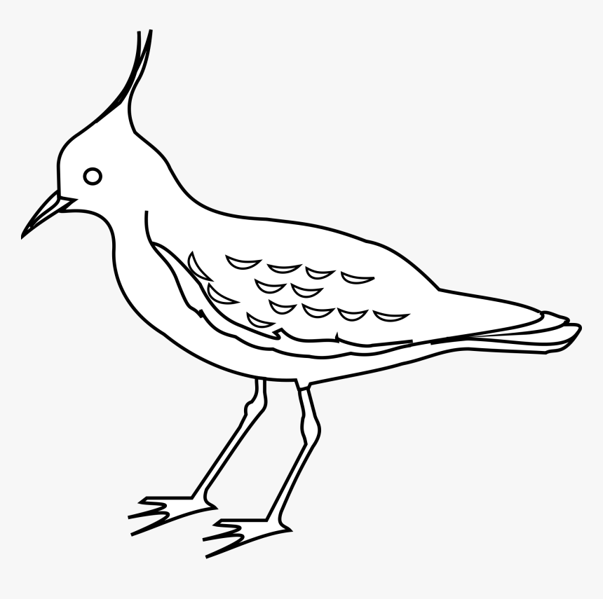 Clipart Birds Outline, HD Png Download , Transparent Png Image - PNGitem