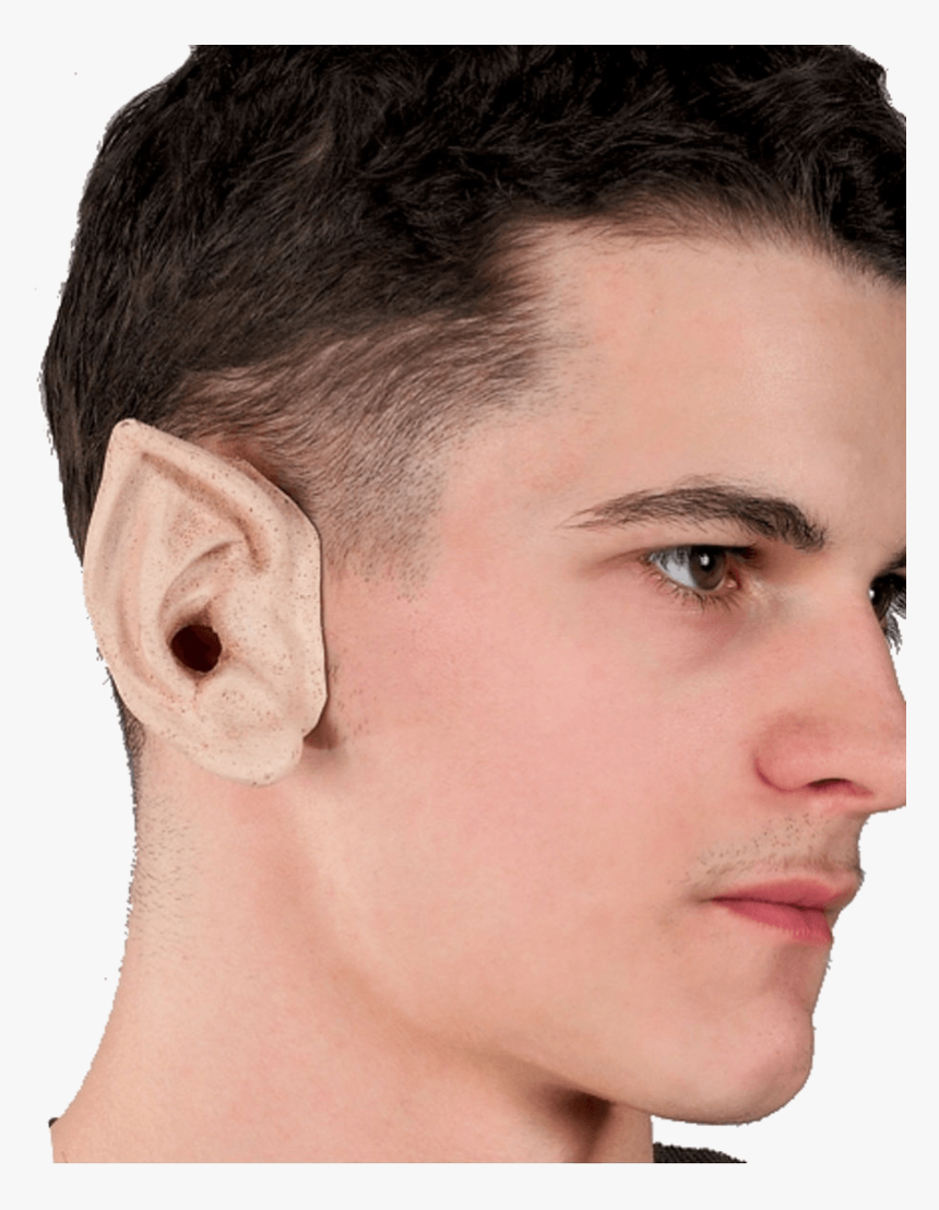 Elf Ear Png, Transparent Png , Transparent Png Image - PNGitem