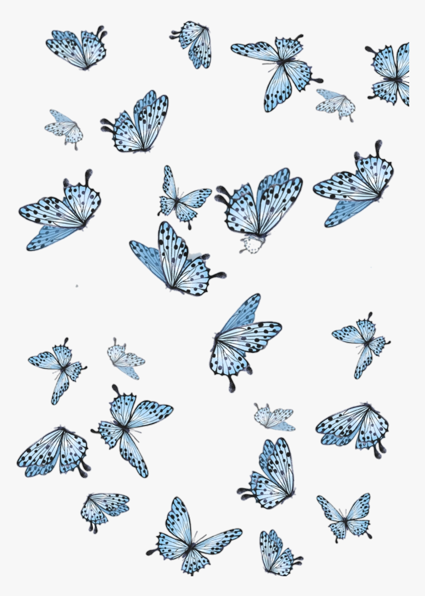 Transparent Butterflies Tumblr