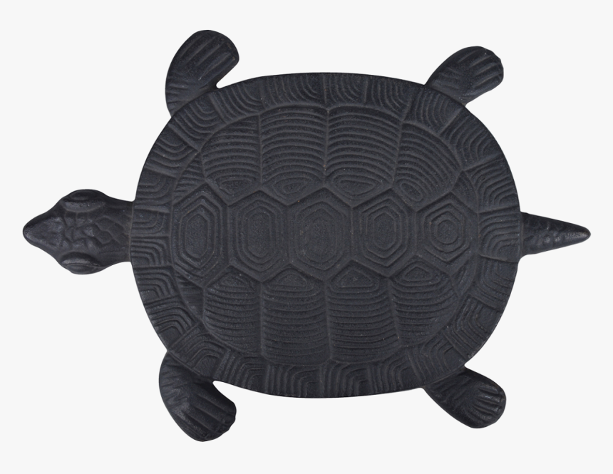 Stepping Stone Turtle, HD Png Download , Transparent Png Image - PNGitem