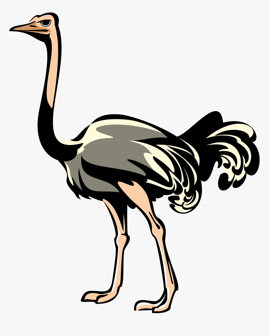 Australian Drawing Emu, HD Png Download , Transparent Png Image - PNGitem