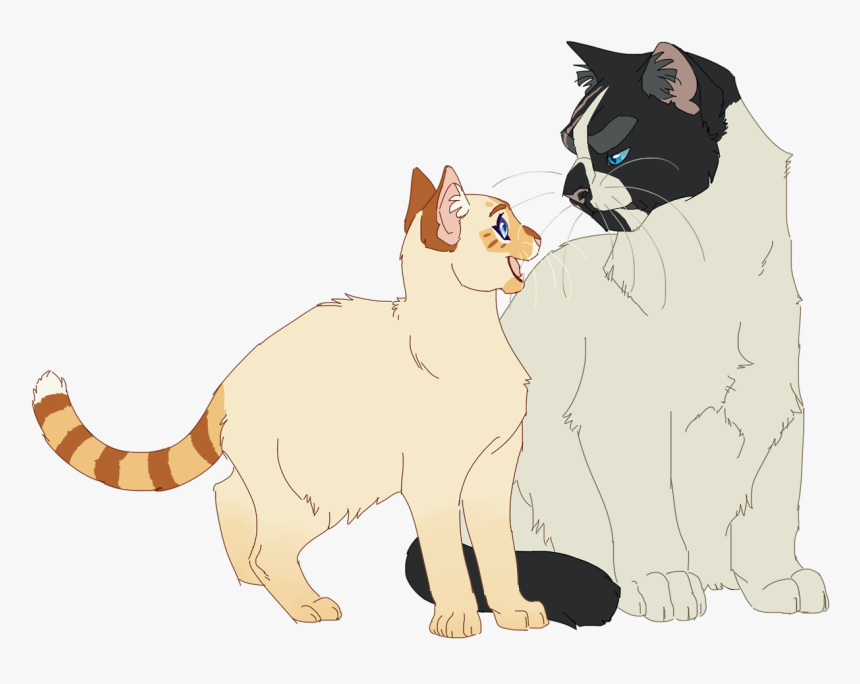Tumblr Cat Png, Transparent Png , Transparent Png Image - PNGitem
