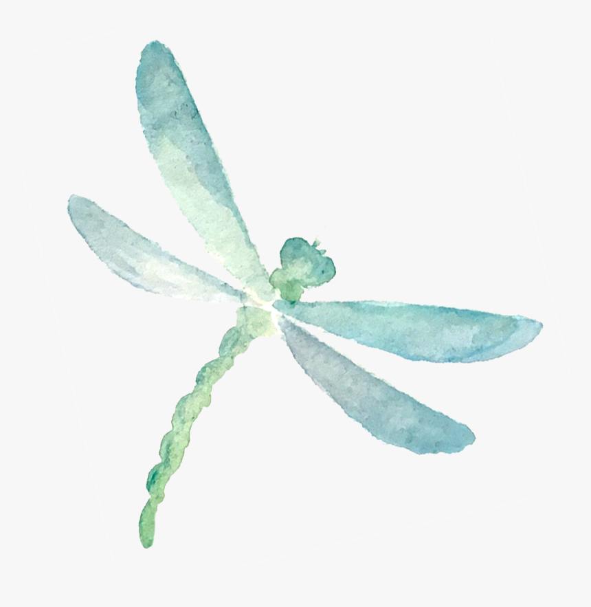 Dragonfly Wings Png, Transparent Png , Transparent Png Image - PNGitem