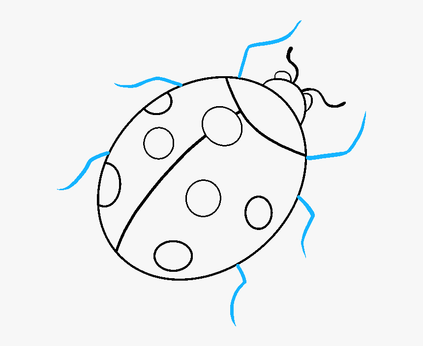Drawing Ladybug Head Transparent Png Clipart Free Download, Png ...