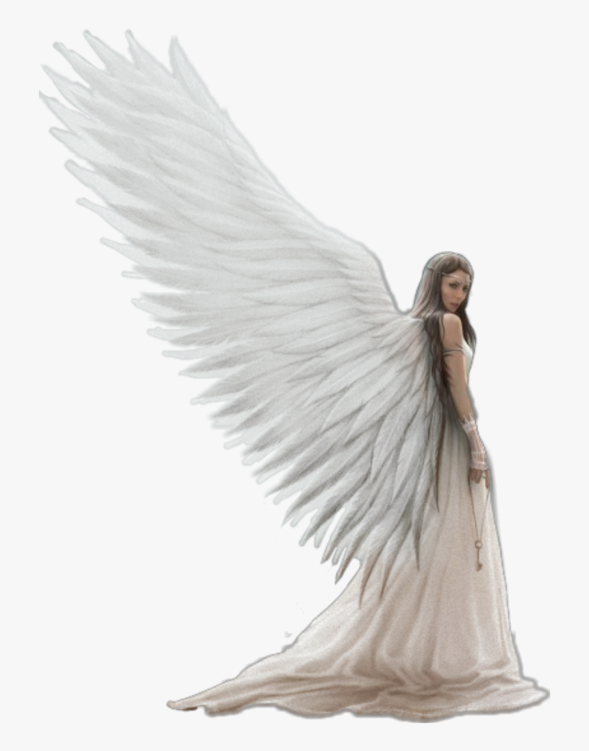 Transparent Angel Halo Png, Png Download , Transparent Png Image - PNGitem