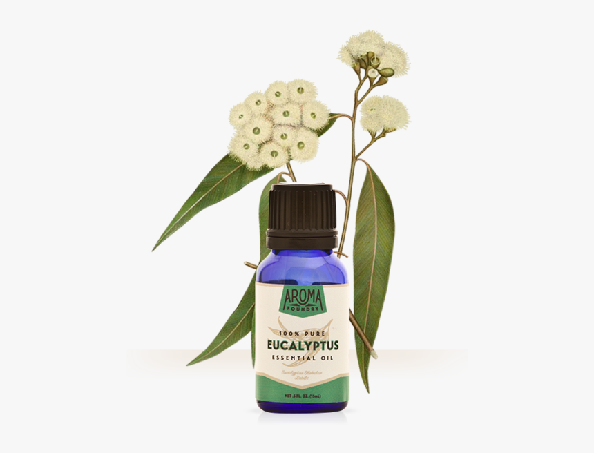 Essential Oil Png, Transparent Png , Transparent Png Image - PNGitem
