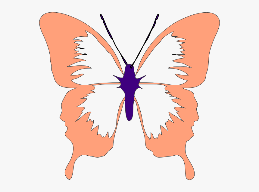Peach Butterfly Clip Art At Clker, HD Png Download , Transparent Png ...