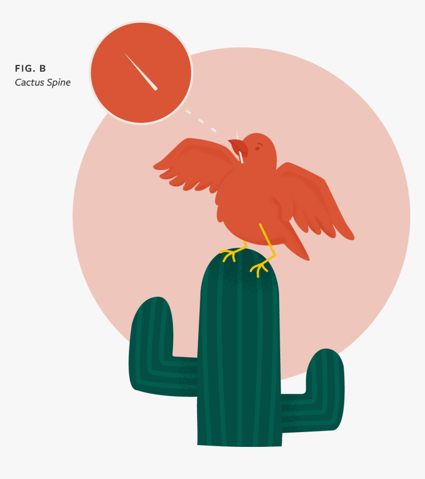 Cactus Png Tumblr, Transparent Png , Transparent Png Image - PNGitem