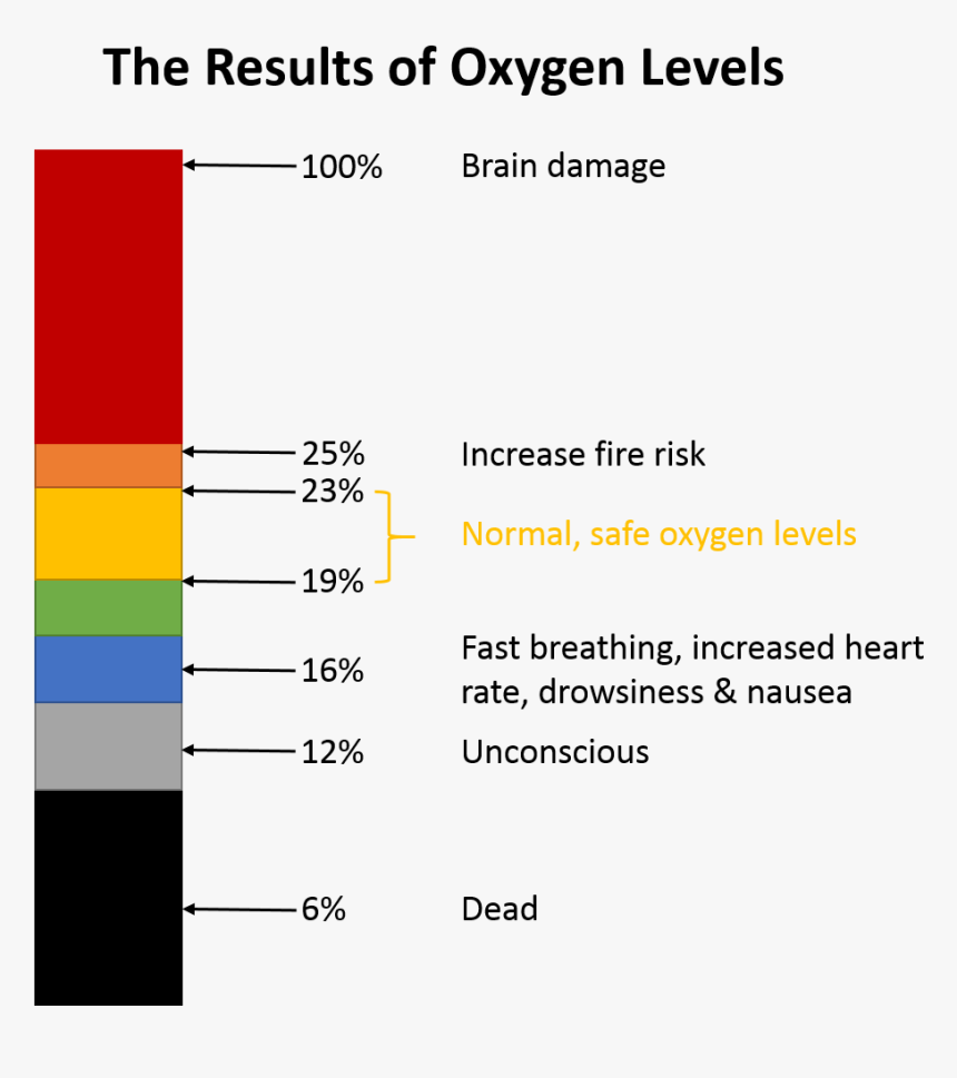 Owoxy, HD Png Download , Transparent Png Image - PNGitem