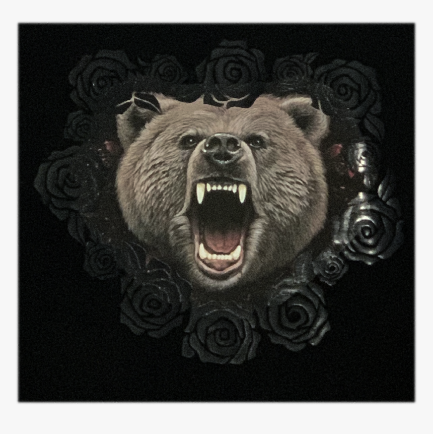Angry Bear Png, Transparent Png , Transparent Png Image - PNGitem
