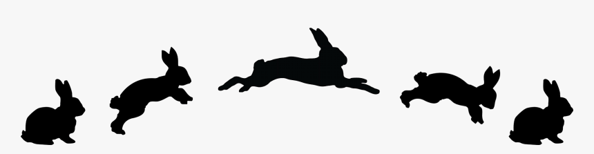 A Solitary Rabbit Jumping In Phases, HD Png Download , Transparent Png ...