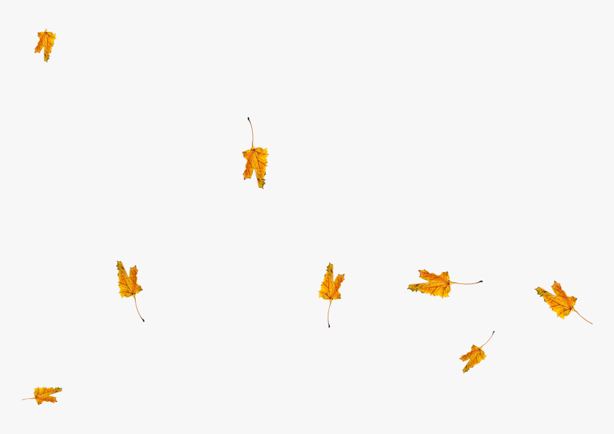Fall Leaves Falling Png, Transparent Png , Transparent Png Image - PNGitem