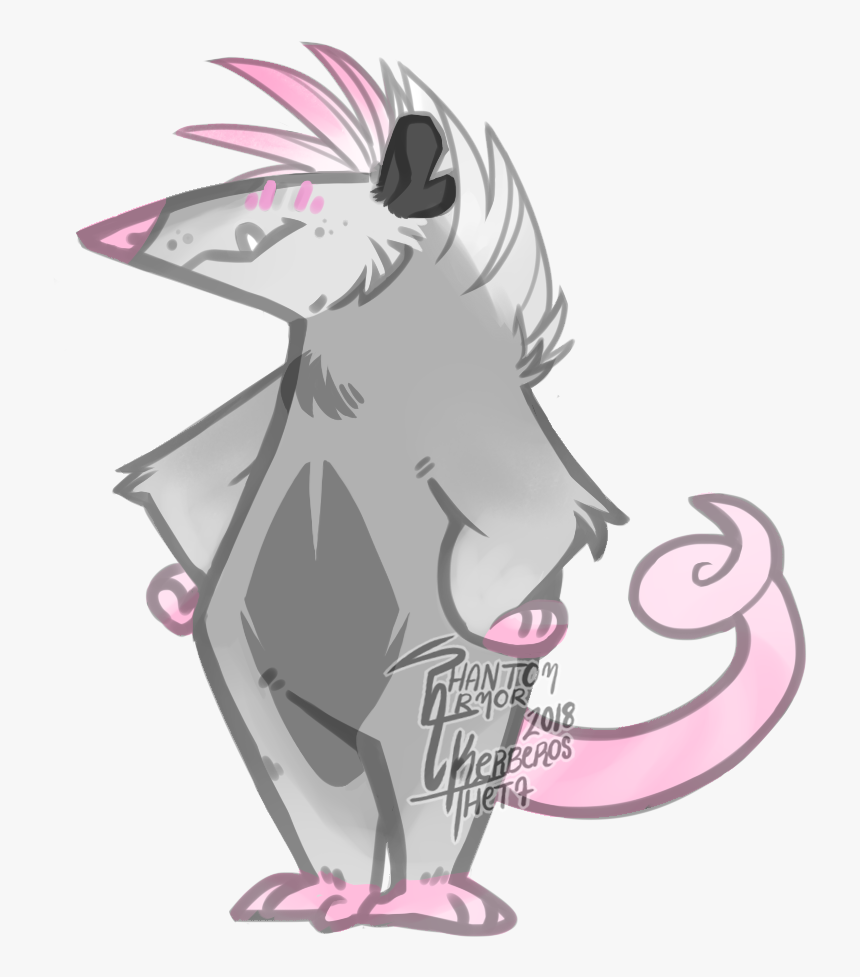 Opossum Png, Transparent Png , Transparent Png Image - PNGitem