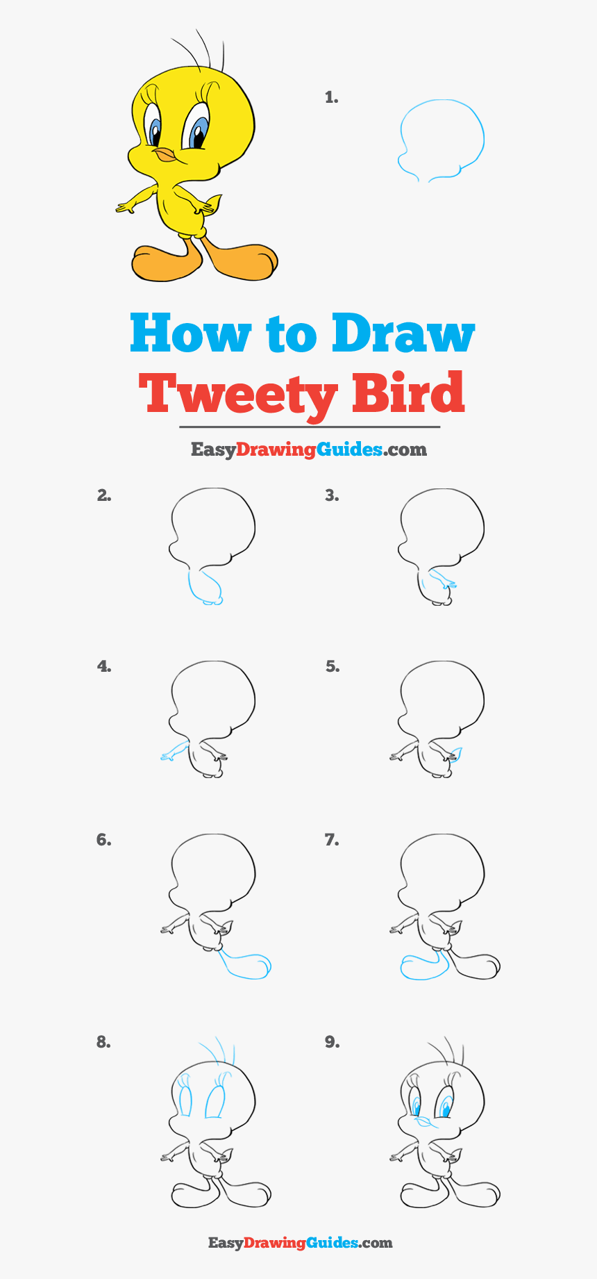 How To Draw Tweety Bird, HD Png Download , Transparent Png Image - PNGitem