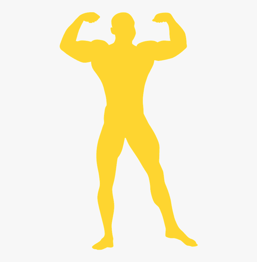 Bodybuilding Vector Png, Transparent Png , Transparent Png Image - PNGitem