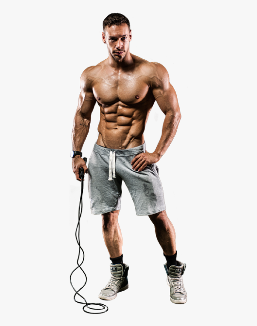 Bodybuilding Vector Png, Transparent Png , Transparent Png Image - PNGitem