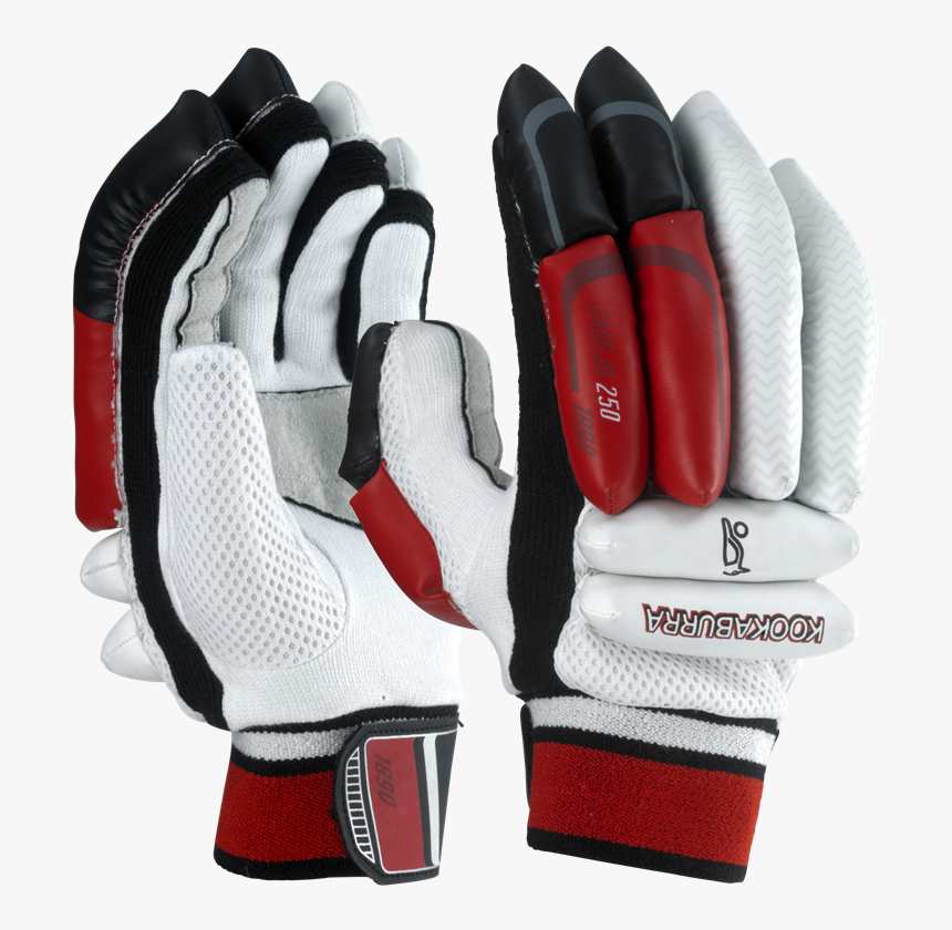 Cricket Gloves Png, Transparent Png , Transparent Png Image - PNGitem