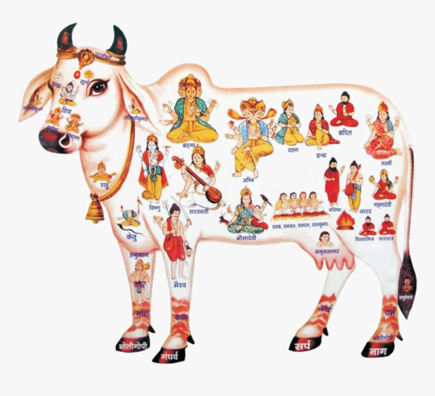 Kamadhenu Png High-quality Image, Transparent Png , Transparent Png ...