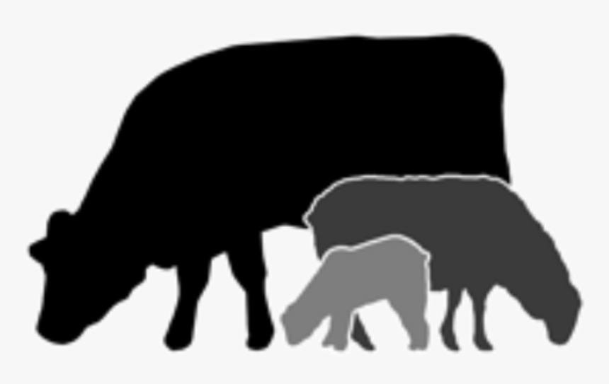 Grazing Icon, HD Png Download , Transparent Png Image - PNGitem