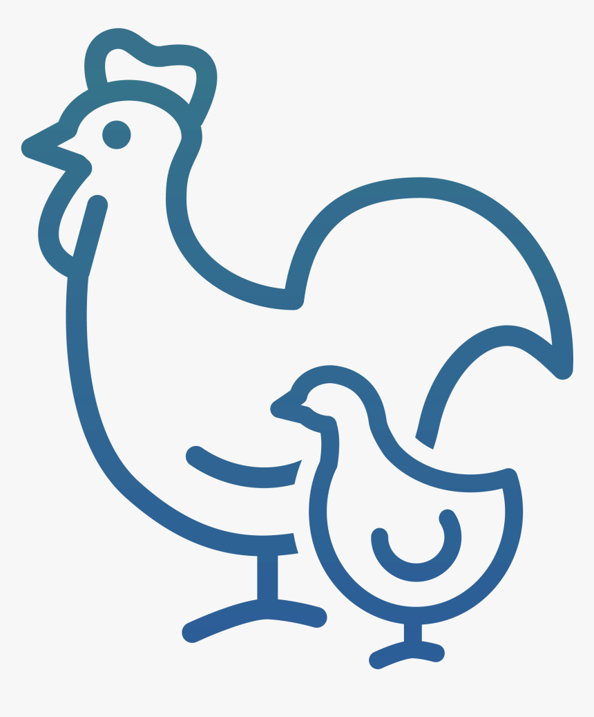 Icon Poultry & Egg Production - Icon Poultry Production, HD Png ...