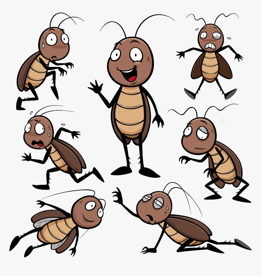 Ipis Clipart
