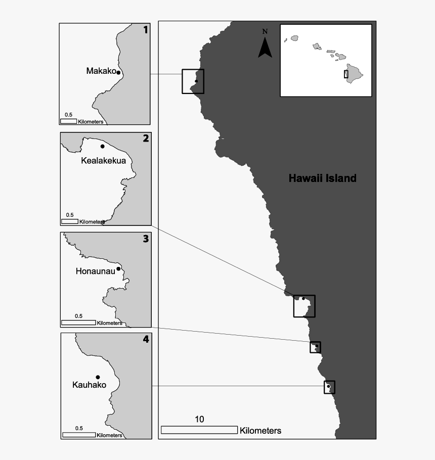 Hawaii Map Png, Transparent Png , Transparent Png Image - PNGitem