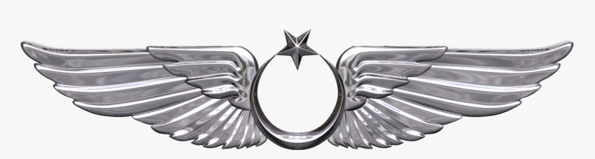 Pilot Wings Png, Transparent Png , Transparent Png Image - PNGitem