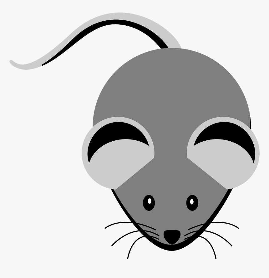 Mouse Ears Png, Transparent Png , Transparent Png Image - PNGitem