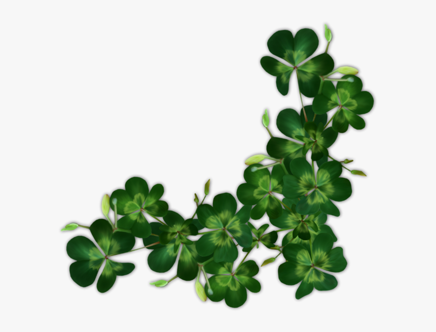 Shamrock Border Png, Transparent Png , Transparent Png Image - PNGitem