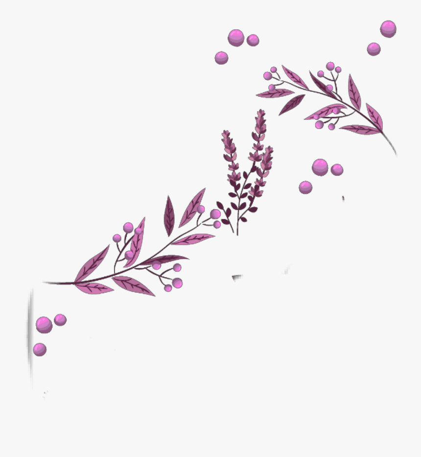 Transparent Flower Vines Png, Png Download , Transparent Png Image ...