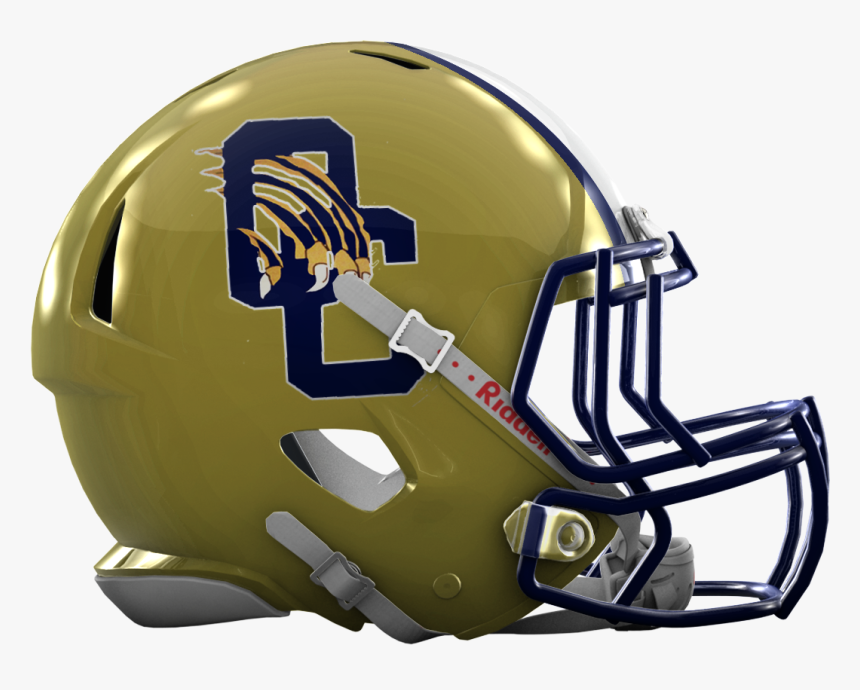 Panthers Helmet Png, Transparent Png , Transparent Png Image - PNGitem