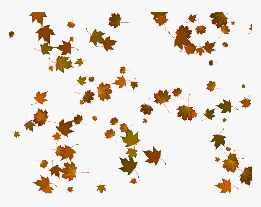 50 Falling Leaves Png Photoshop Overlays Background, Transparent Png ...
