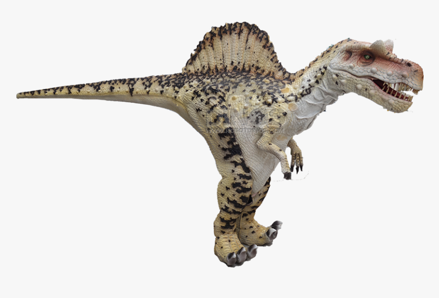 Spinosaurus Png, Transparent Png , Transparent Png Image - PNGitem
