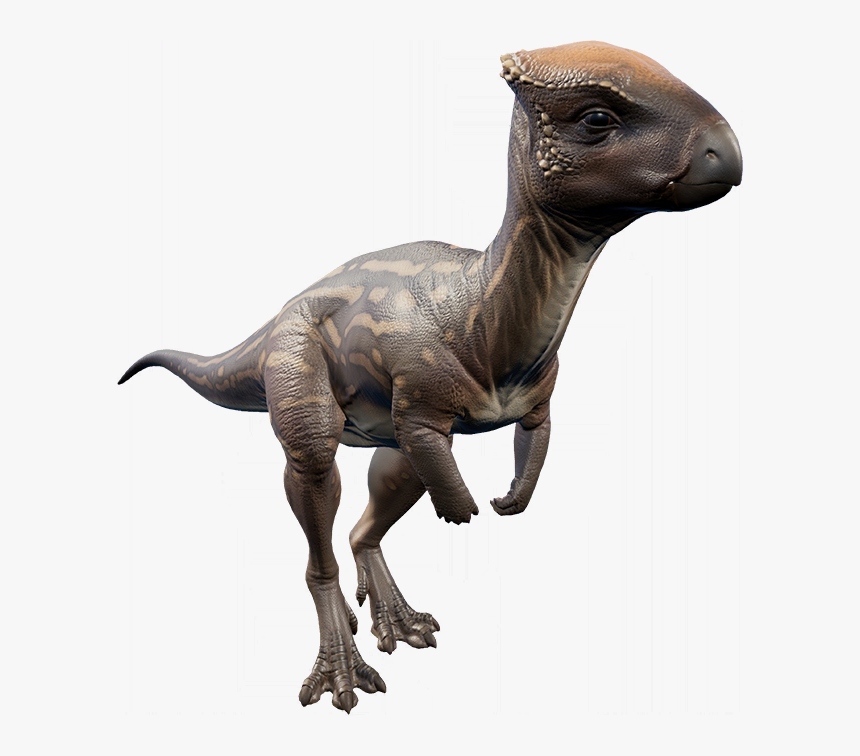 Spinosaurus Png, Transparent Png , Transparent Png Image - PNGitem