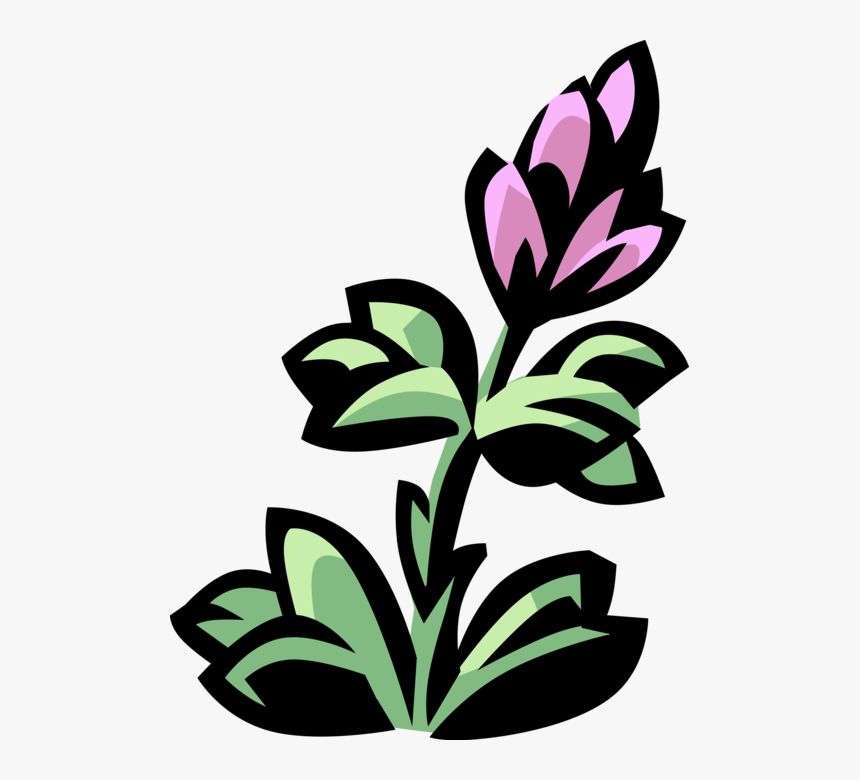 Transparent Plant Vector Png, Png Download , Transparent Png Image ...
