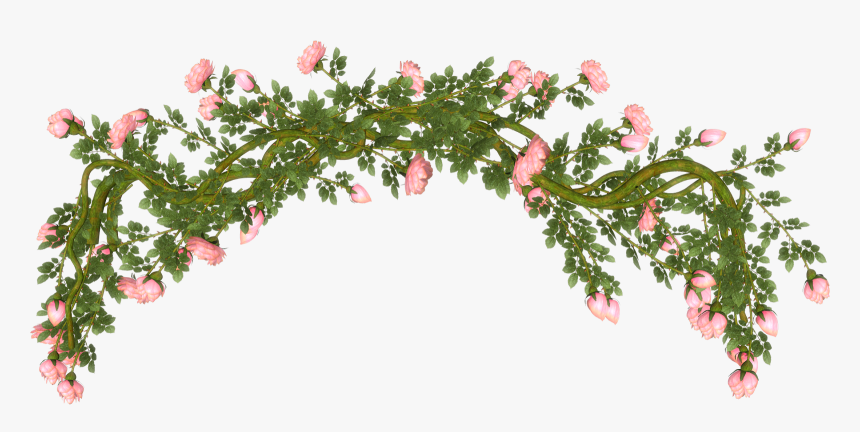Transparent Rosas Blancas Png - Rama Flower, Png Download , Transparent ...