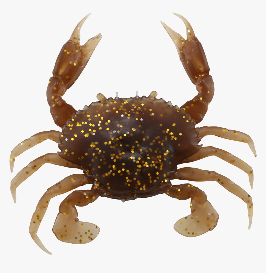 Freshwater Crab, HD Png Download , Transparent Png Image - PNGitem