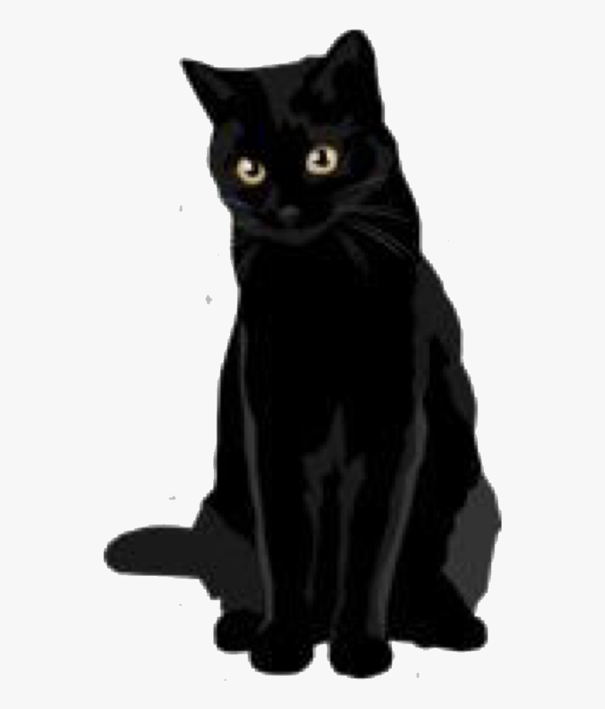 Tumblr Cat Png Black Cat Transparent - Black Cat Sticker, Png Download ...