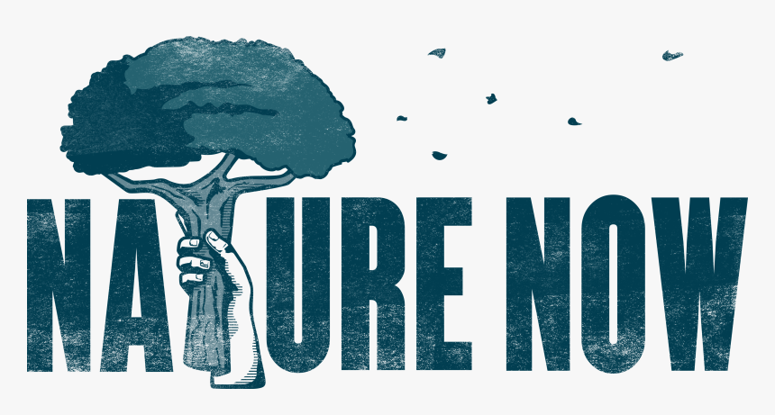 Nature Now - Tree, HD Png Download , Transparent Png Image - PNGitem