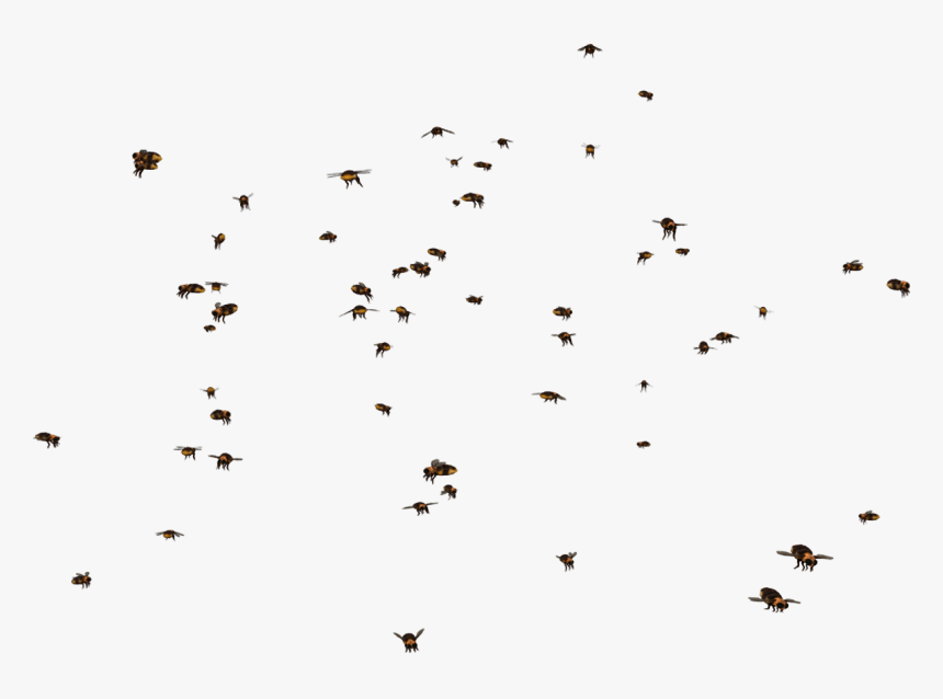 Transparent Swarm Clipart - Swarm Of Bees Png, Png Download ...
