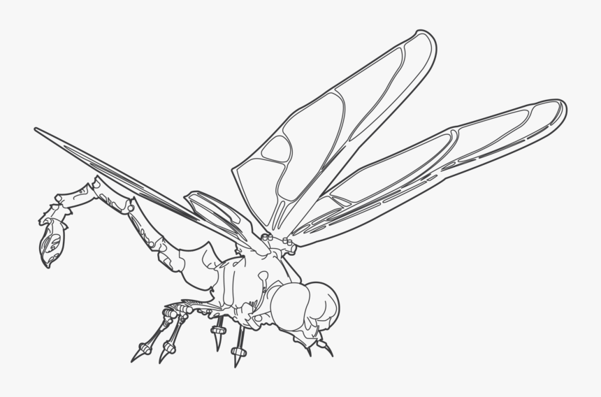 Transparent Swarm Png - Line Art, Png Download , Transparent Png Image ...