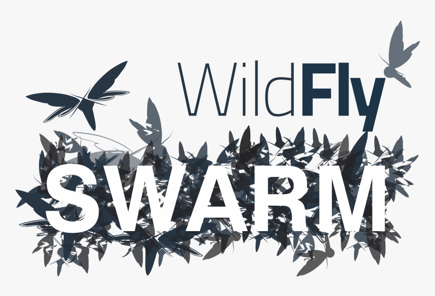 Wildflyswarm - Wildfly, HD Png Download , Transparent Png Image - PNGitem