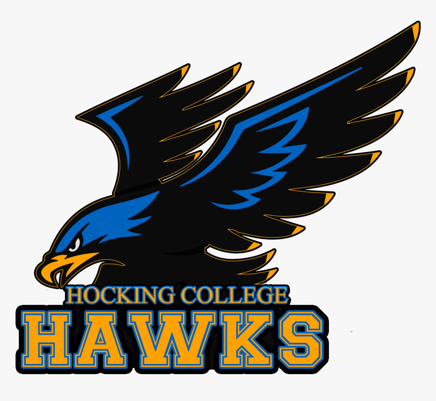 Hocking College Hawks, HD Png Download , Transparent Png Image - PNGitem