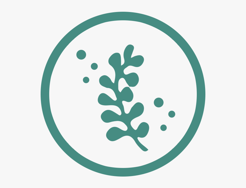 Seaweed Icon Transparent, HD Png Download , Transparent Png Image - PNGitem