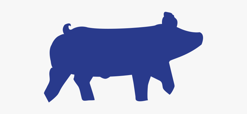 Image - Show Pig Logo Design, HD Png Download , Transparent Png Image ...