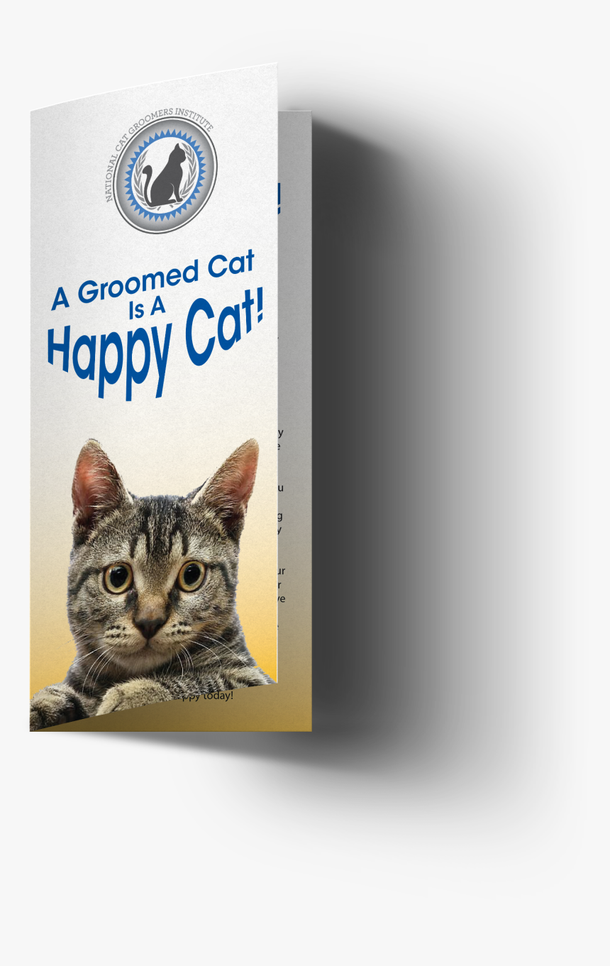 Happy Cat Png - Domestic Short-haired Cat, Transparent Png ...