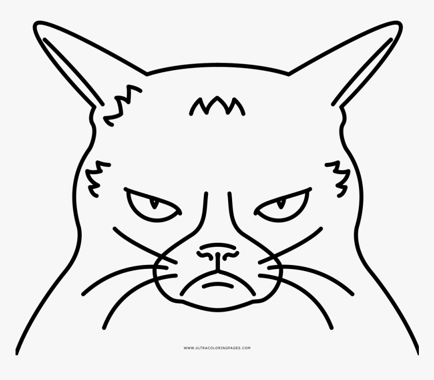 angry cat coloring book