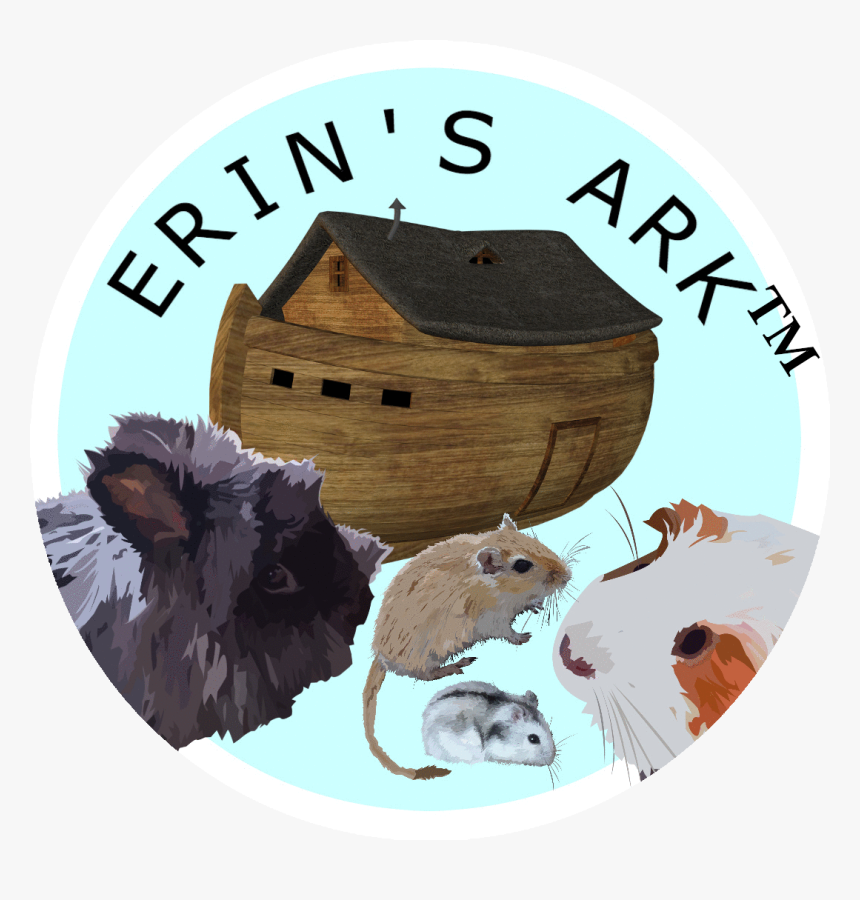 Picture - Noah's Ark Transparent Background, HD Png Download ...