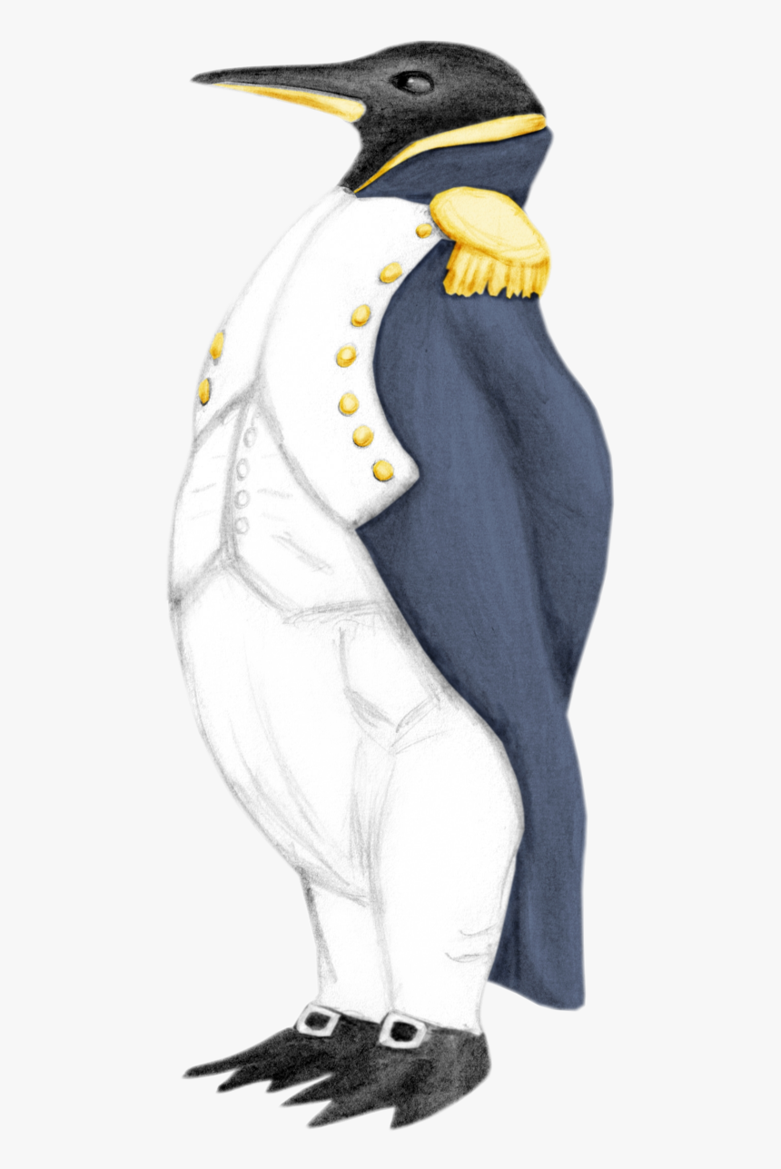 Emperor Penguin Drawing At Getdrawings - Emperor Penguin Drawing, HD ...