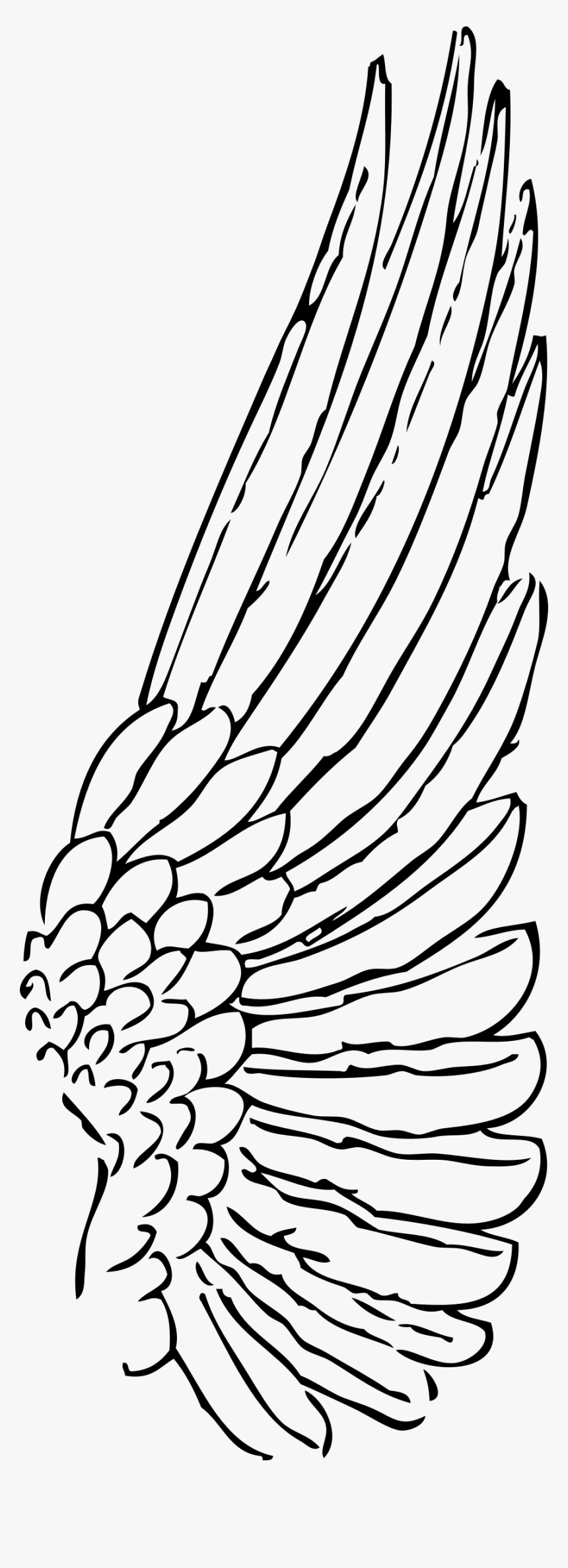 Angel Wings Side View Drawing, HD Png Download , Transparent Png Image ...